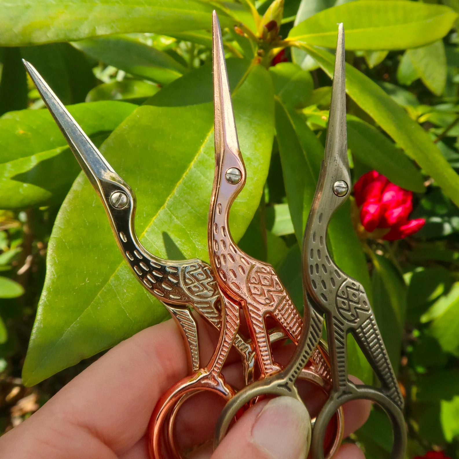 Crane Scissors - 3 Colour Options – Cascayde